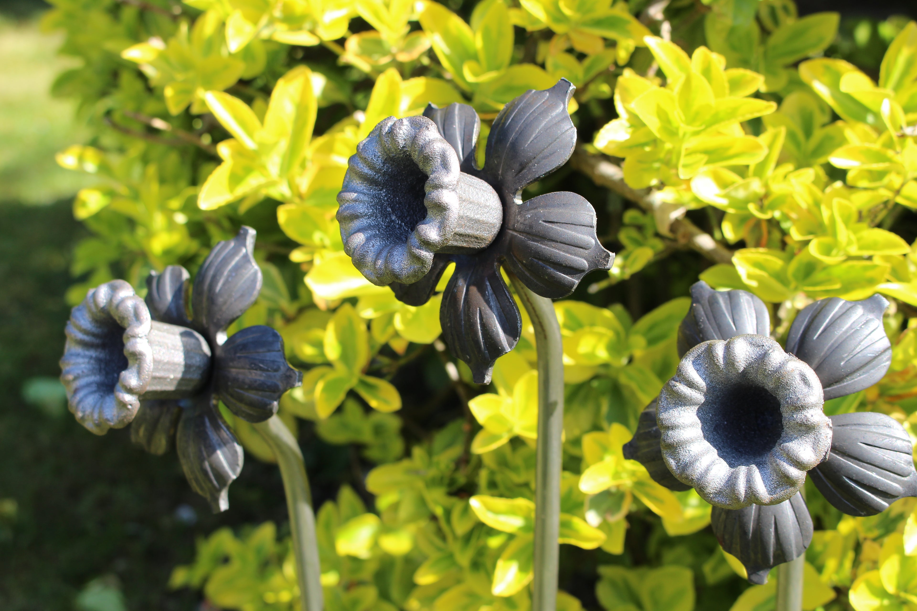Metal in Bloom | Steel Pieces for the Home and Garden – Metal in Bloom Ltd